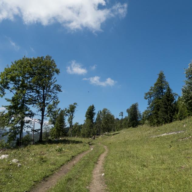 Jura Crest Trail | myvaud