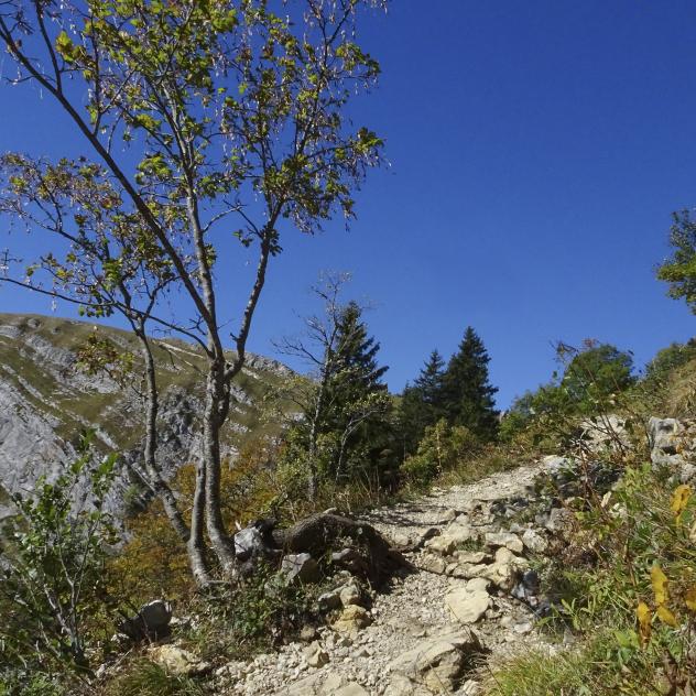 Jura-Höhenweg | myvaud