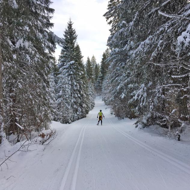 Piste de la Grande Borne | myvaud