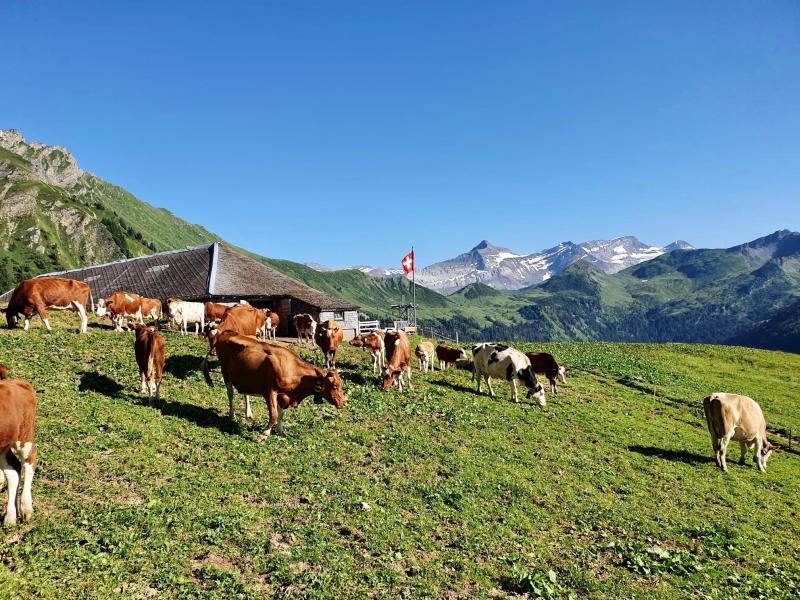 Via Alpina : stage n°17