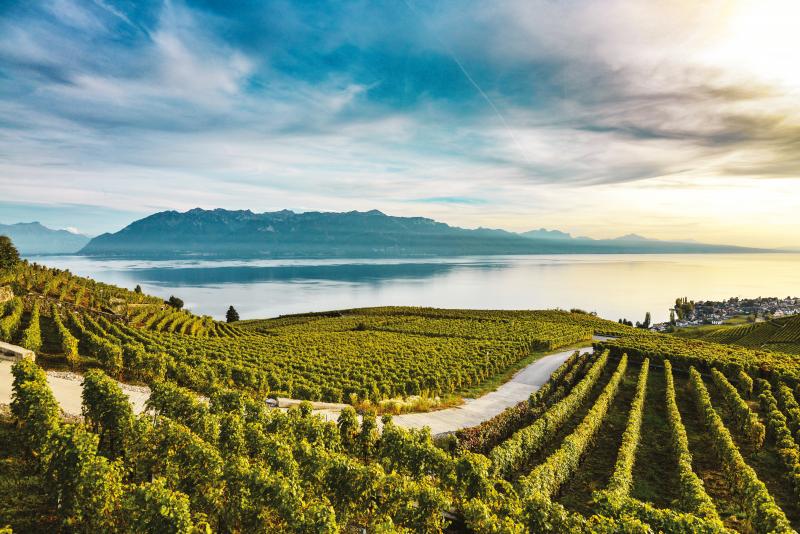 Randonnées & balades en Lavaux - Montreux Riviera