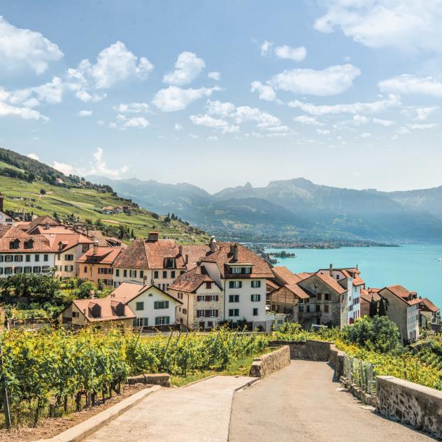 Rivaz - Montreux Riviera