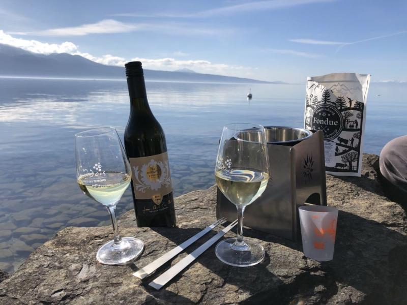 Les 11 Terres - Fondue backpack - Montreux Riviera
