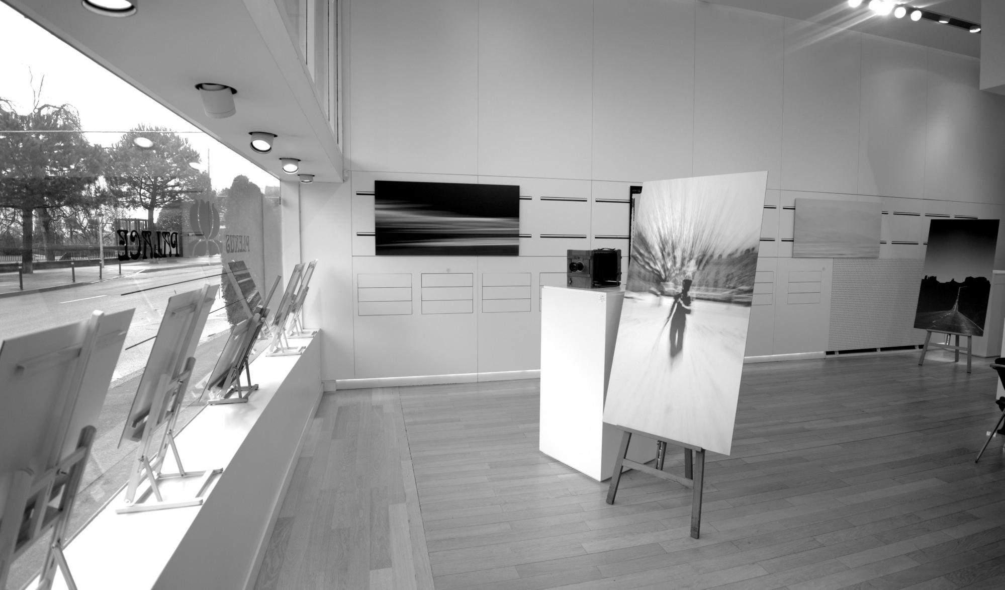 Plexus Art Gallery Montreux Palace - Montreux Riviera