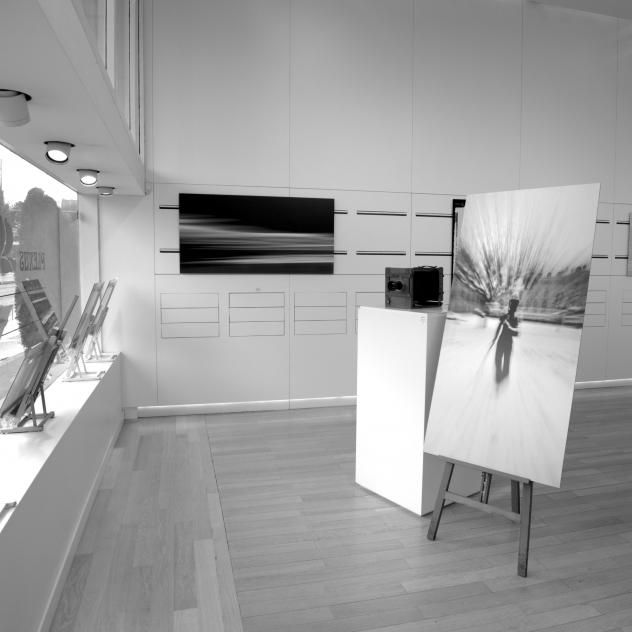 Plexus Art Gallery Montreux Palace - Montreux Riviera