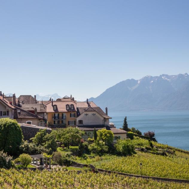 Blaise Duboux – Art du vin - Montreux Riviera