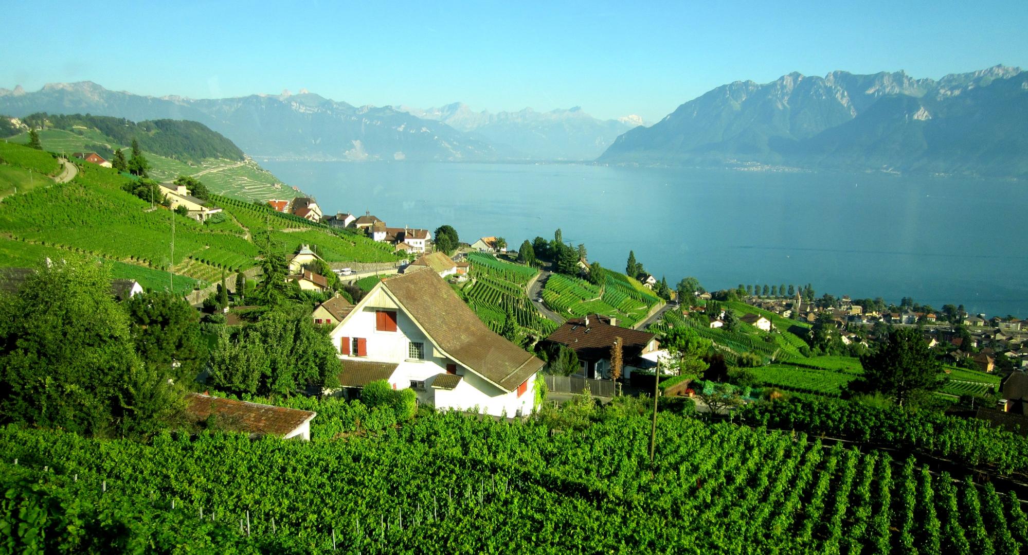 Lutry - Grandvaux - Lutry - Montreux Riviera