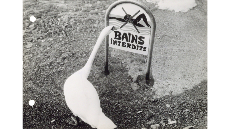 Konferenz: Die Geschichte des Genfersees - ein bewundernswertes Gem ...