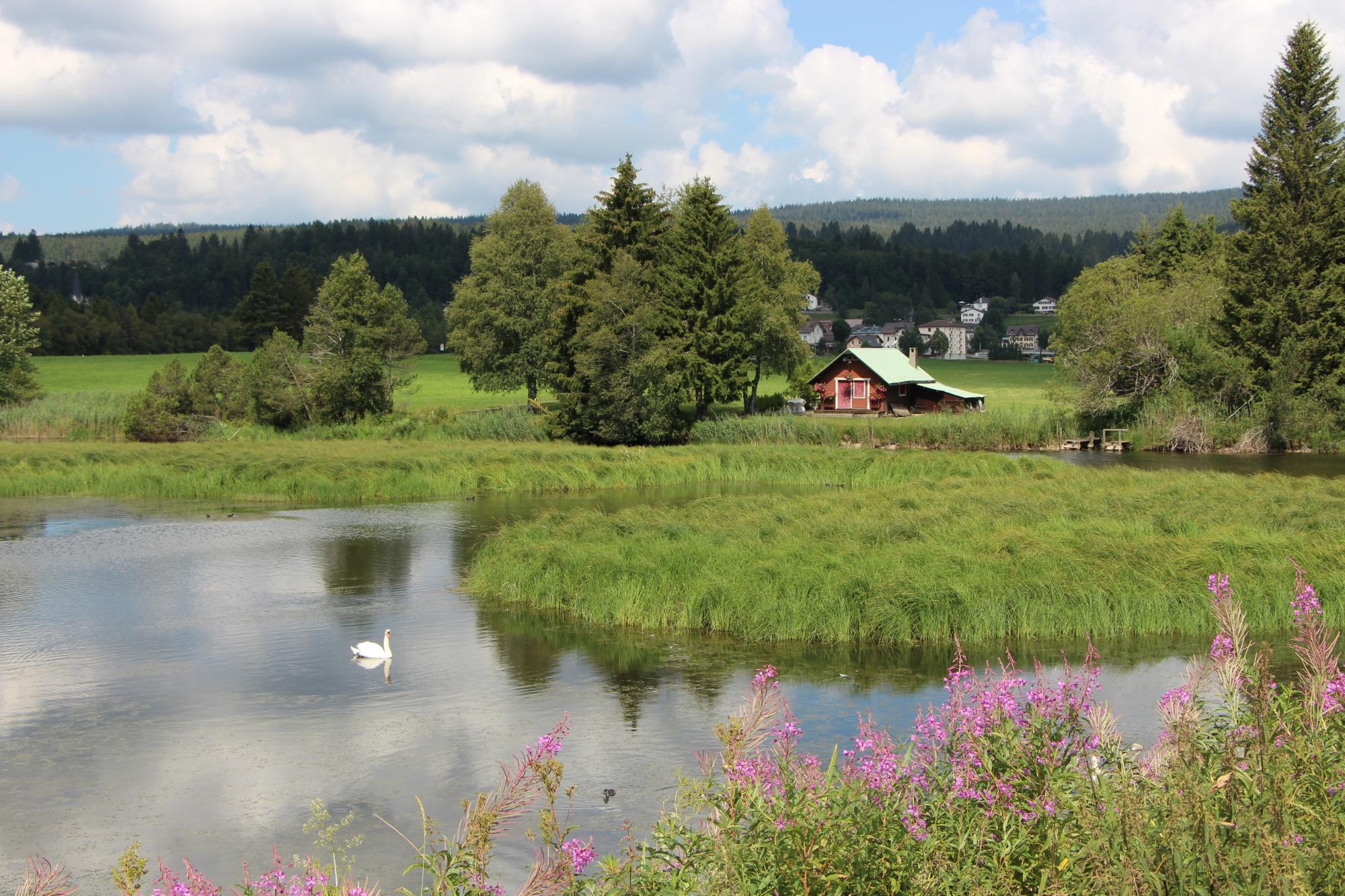 Vallée de Joux (Suisse) - Vacances, voyages, excursions, hôtels ...