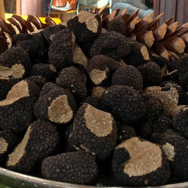 Yverdon-les-Bains Region Jura Lac (Schweiz) - Urlaub, Ferien, Reisen ...