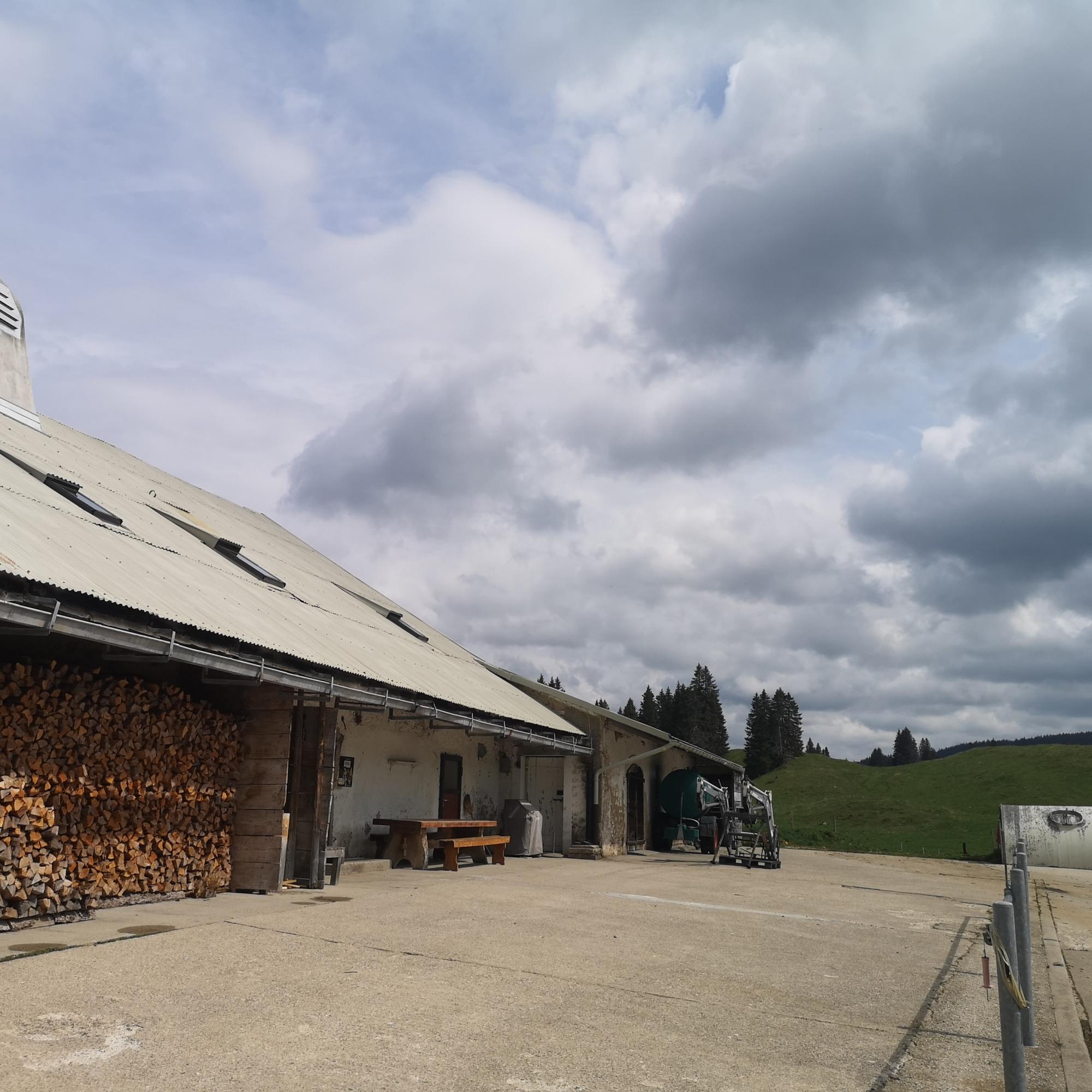 Alpage de la Bassine - La Côte Tourisme (Suisse)