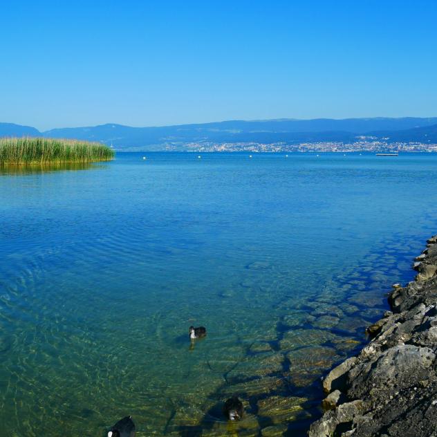 Strand von Cudrefin | myvaud