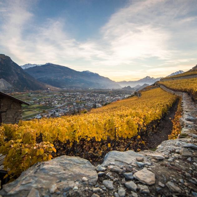 A flanc de côteau - De St-Léonard à Sierre | Sierre Tourisme - Valais ...
