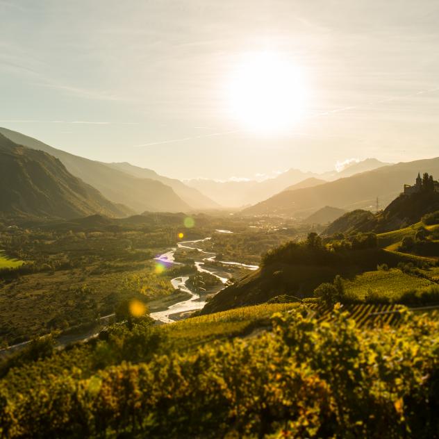 Parc Naturel Pfyn-Finges | Sierre Tourisme - Wallis Schweiz