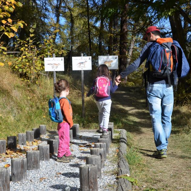 The Animal Trail | Val d’Anniviers Tourism – Valais Switzerland