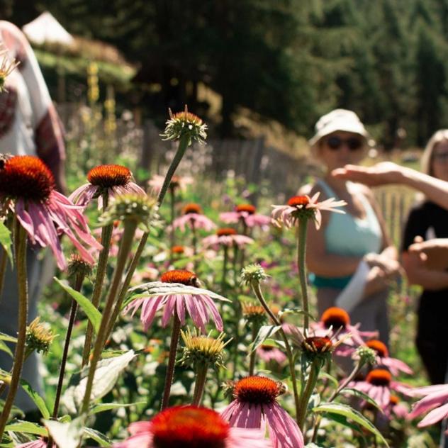 Ein Tag in Cottier, vom Garten zum Fläschchen | Val d’Anniviers ...