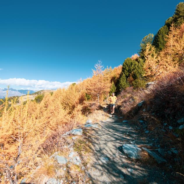 Big Tour "GRIMENTZ - Mayens 1903 - Mottec - ancien bisse des Morasses ...