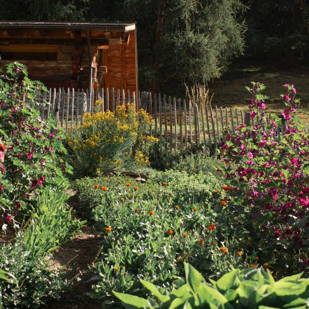 Cottier Herbal and Medicinal Garden | Val d’Anniviers Tourism – Valais ...