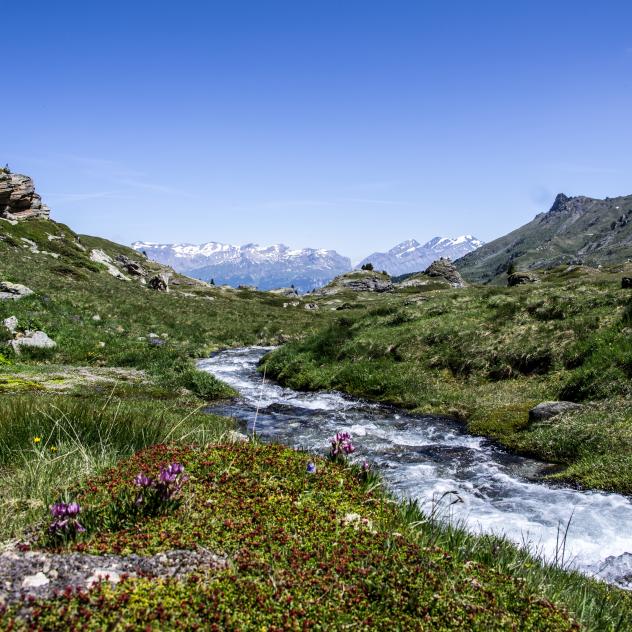 Vallon de Réchy | Vercorin : so close. so wild.